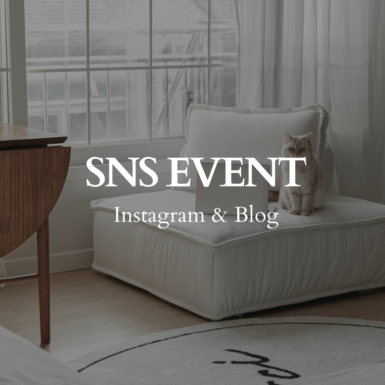 버즈가구 EVENT